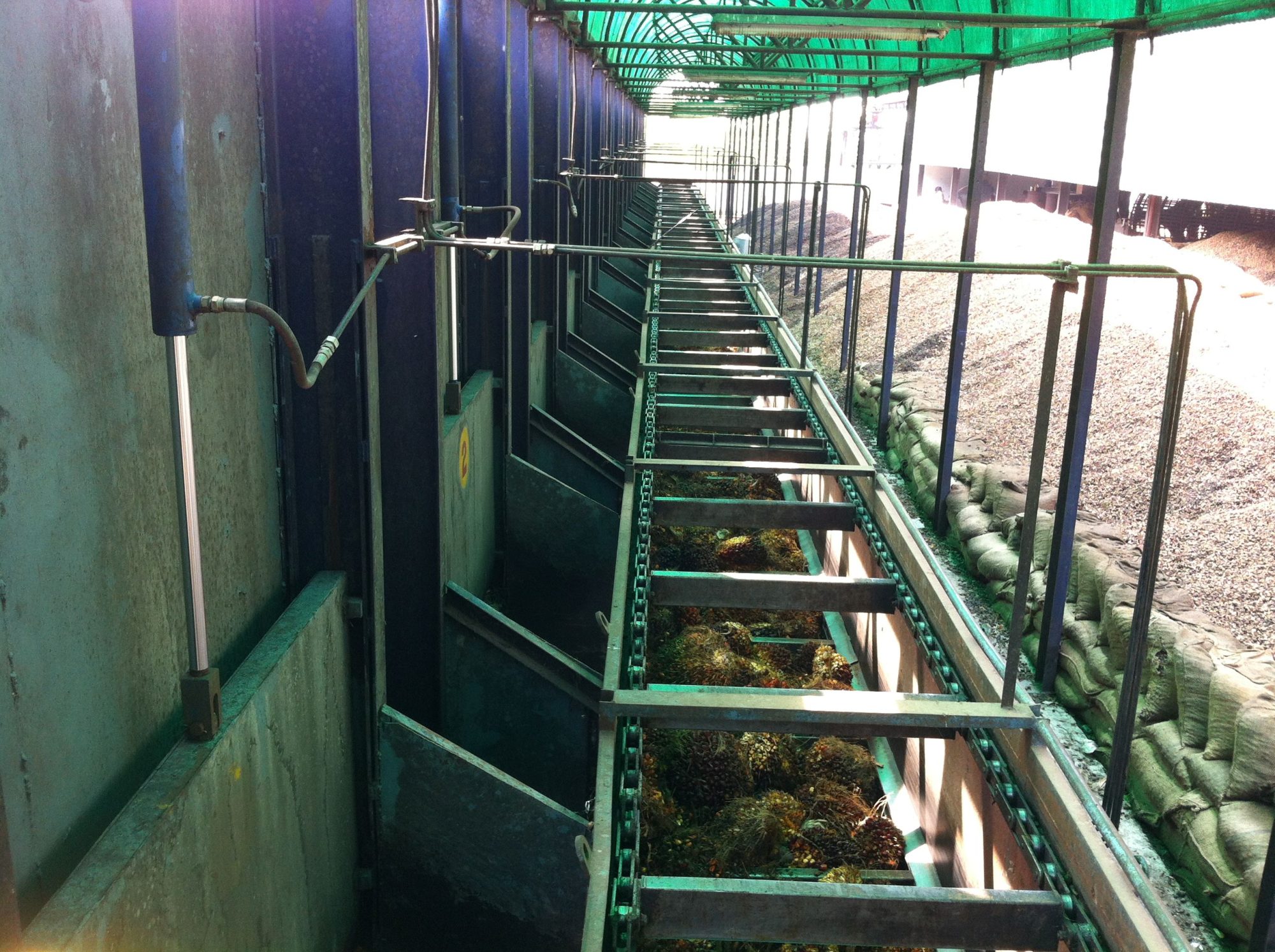 Pure Palm Conveying & Extraction Solution - Dhanvanthri Engineers Pvt. LTD
